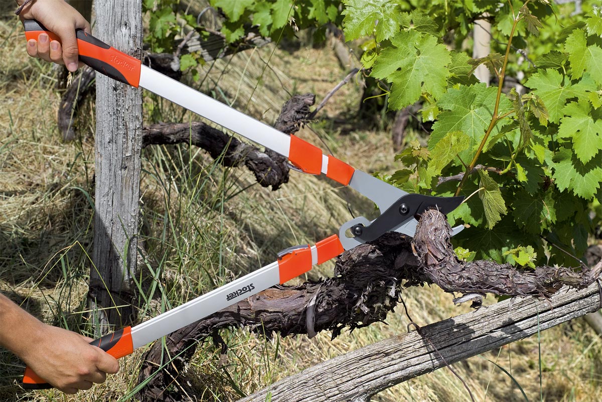 Telescopic Bypass lopper - Stocker Garden