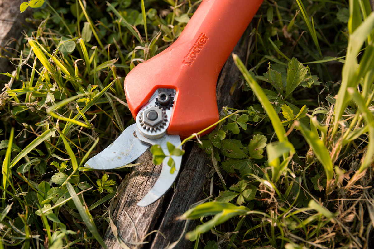 Pruning shears Kantia E-22 TR long handled - Stocker Garden