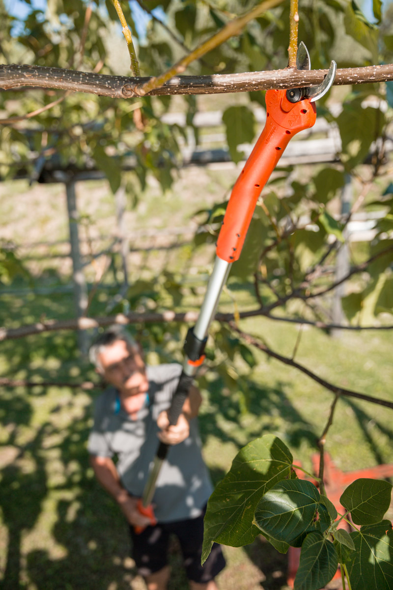 Telescopic handled pruning shears Kantia E-22 TR - Stocker Garden