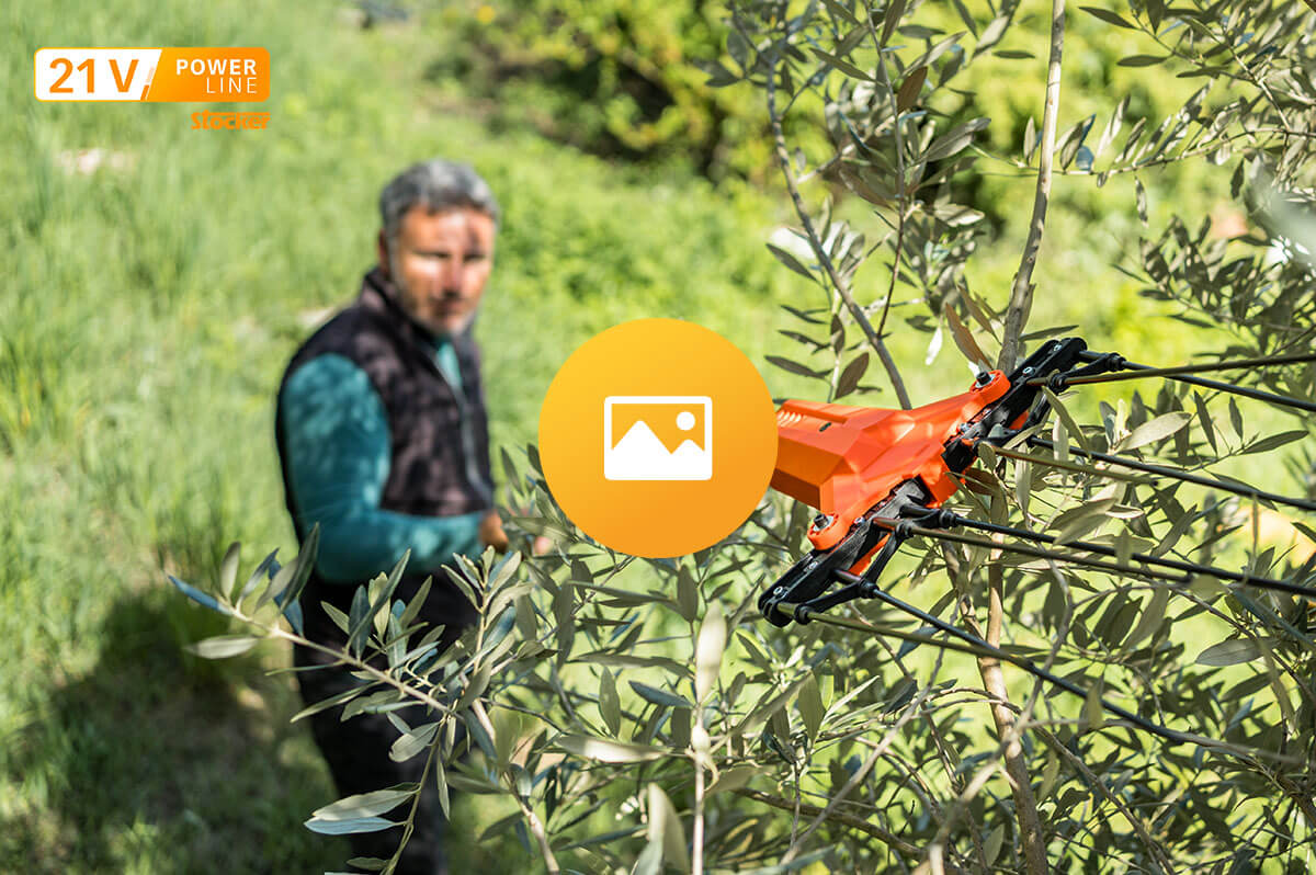 Mediakit general - Stocker Garden