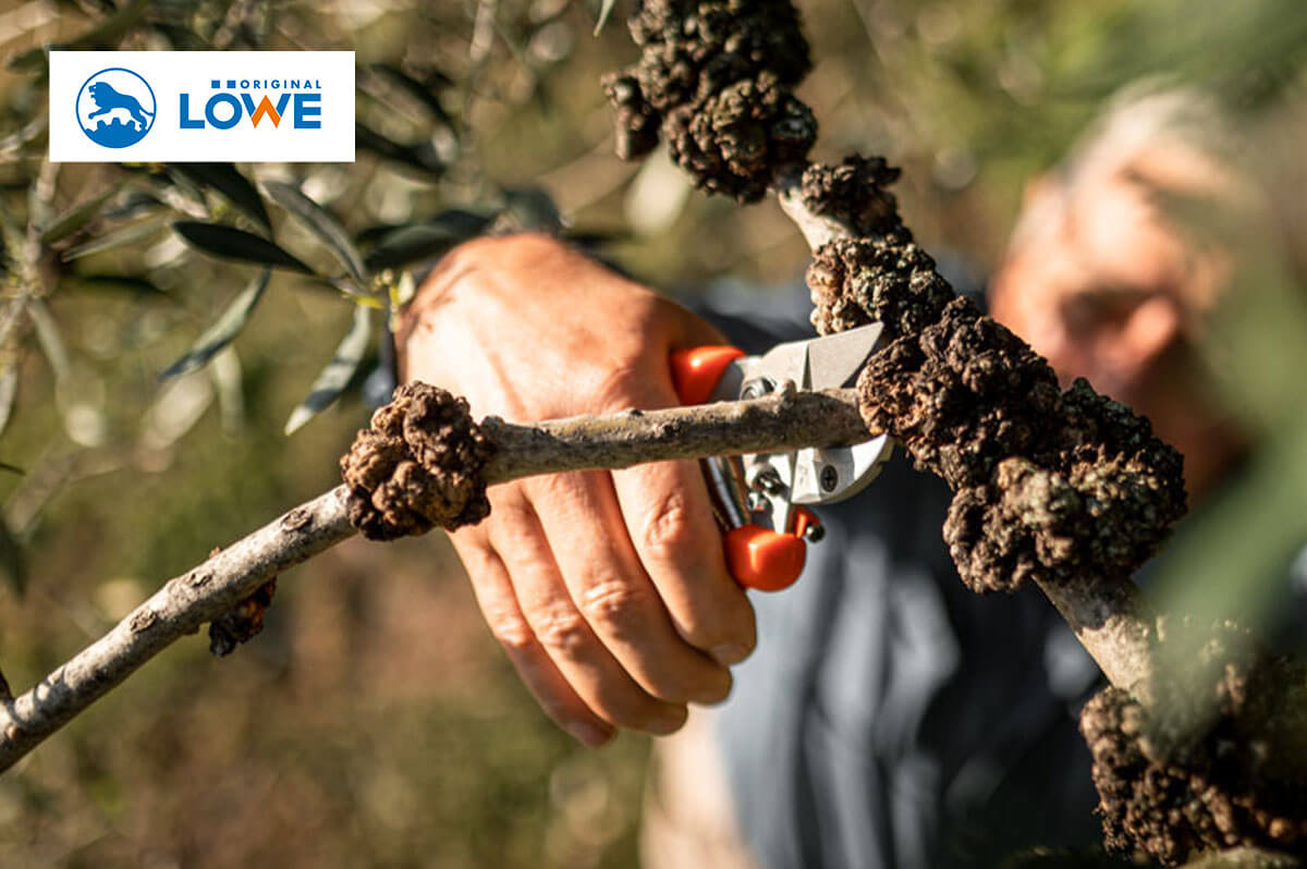 Mediakit general - Stocker Garden