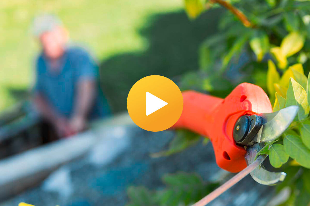 Mediakit general - Stocker Garden